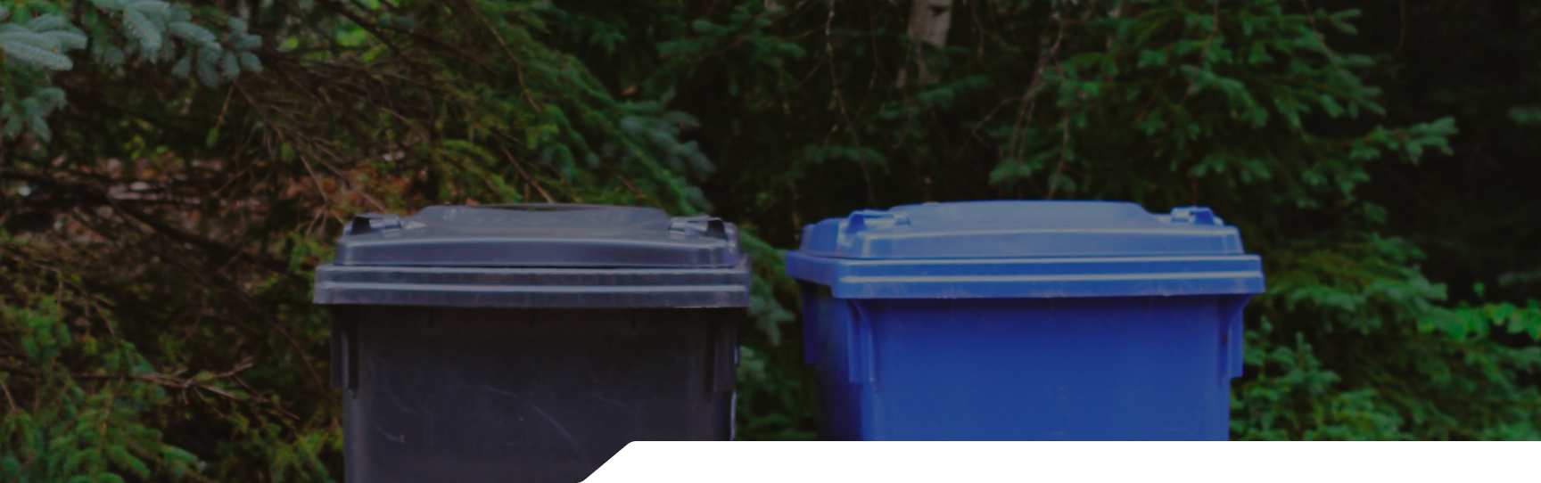 Blue Box Producer Responsibility Organization (PRO) in Ontario – Ryse ...