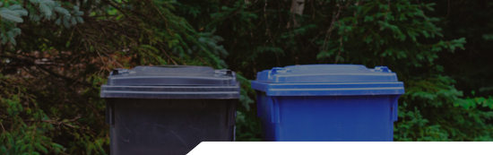 Blue Box Producer Responsibility Organization (PRO) in Ontario – Ryse ...